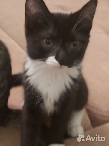 Сироту на удачу