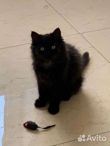 Маленькая тьма, 2 месяца. Мальчик