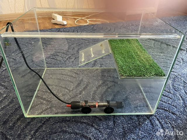 Черепаха с аквариумом