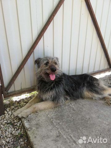 Матильда ищет семью