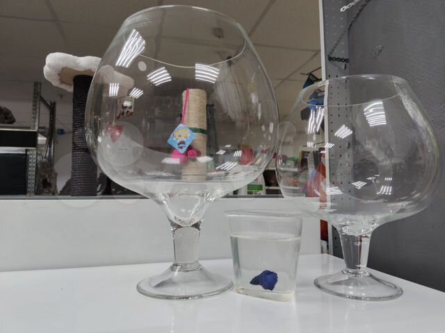 Аквариум - рюмка