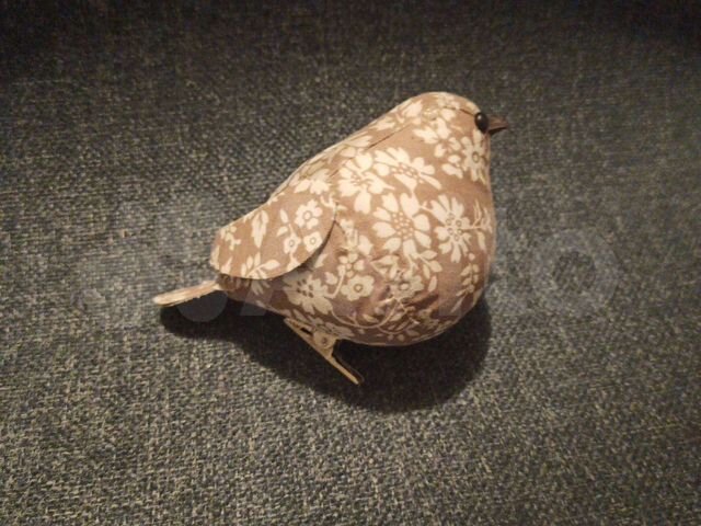 Голубь, птичка декоративная