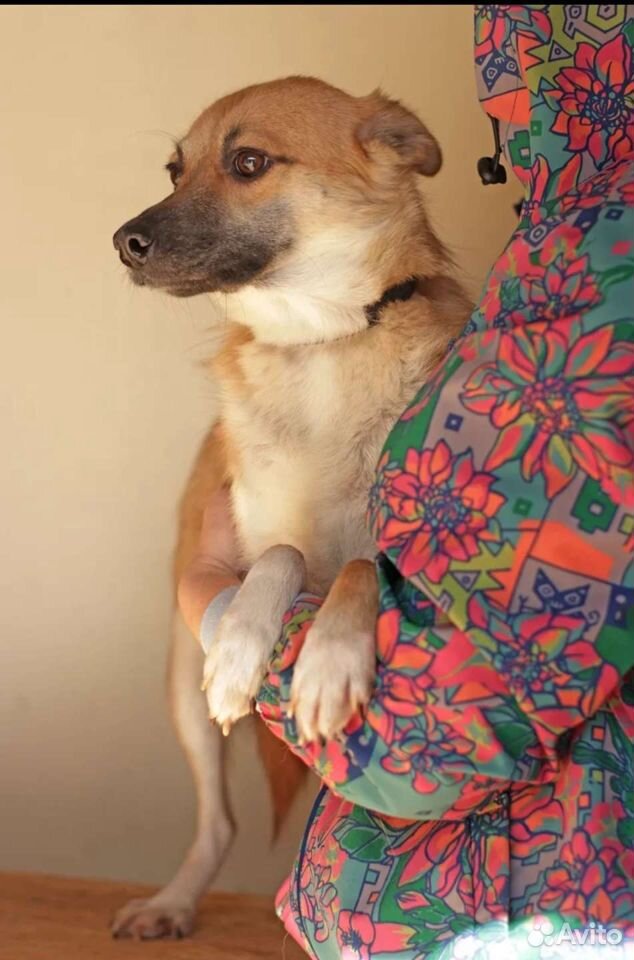 Алиса, 1 год