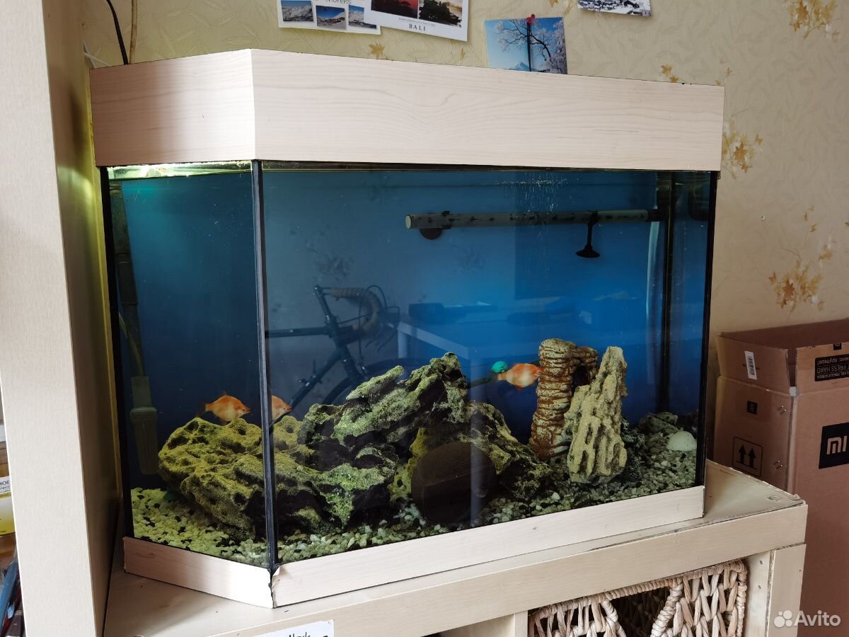 Аквариум 120 литров + внешний фильтр + компрессор
