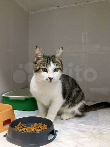 Витаминка сладуська