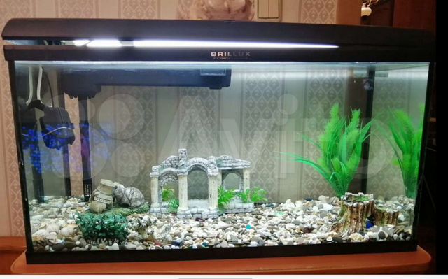 Аквариум brillux 100л