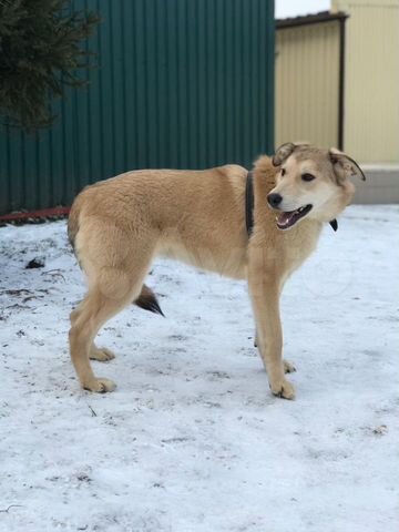 Пристраивается девочка Барби